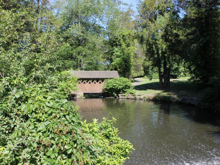 Forest Park Fountain, Springfield, Mass - Lost New England